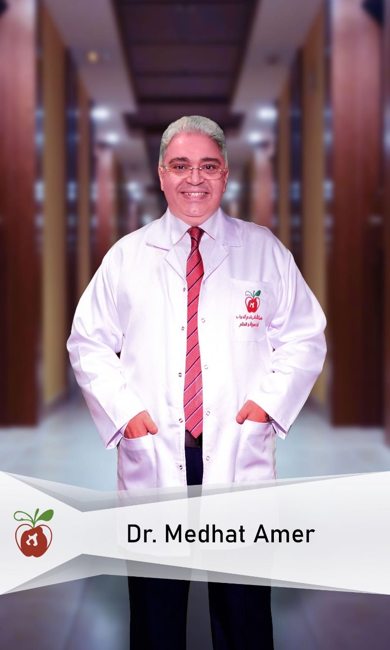 Prof. Dr. Medhat Amer, professor of male diseases, infertility, IVF, delayed childbearing, and ...